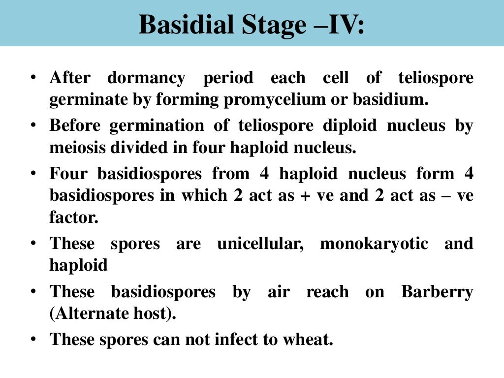 Life cycle of Pythium, Albugo, Erysiphe, Claviceps, Ustilao and Pucci…
