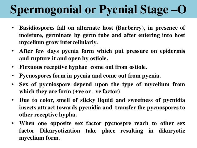 Life cycle of Pythium, Albugo, Erysiphe, Claviceps, Ustilao and Pucci…
