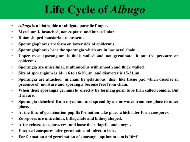 Life cycle of Pythium, Albugo, Erysiphe, Claviceps, Ustilao and Pucci…