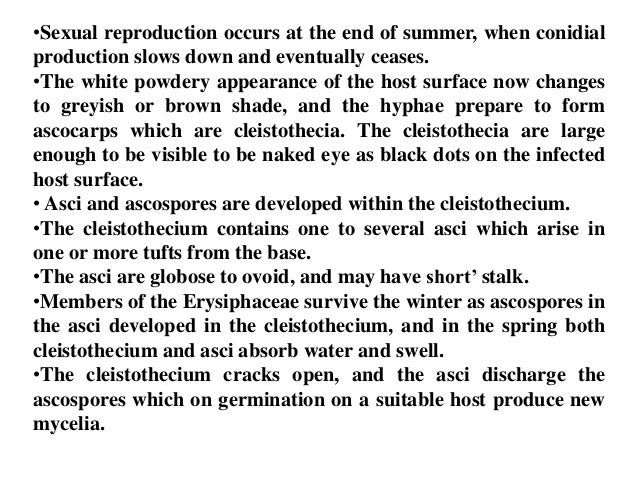 Life cycle of Pythium, Albugo, Erysiphe, Claviceps, Ustilao and Pucci…