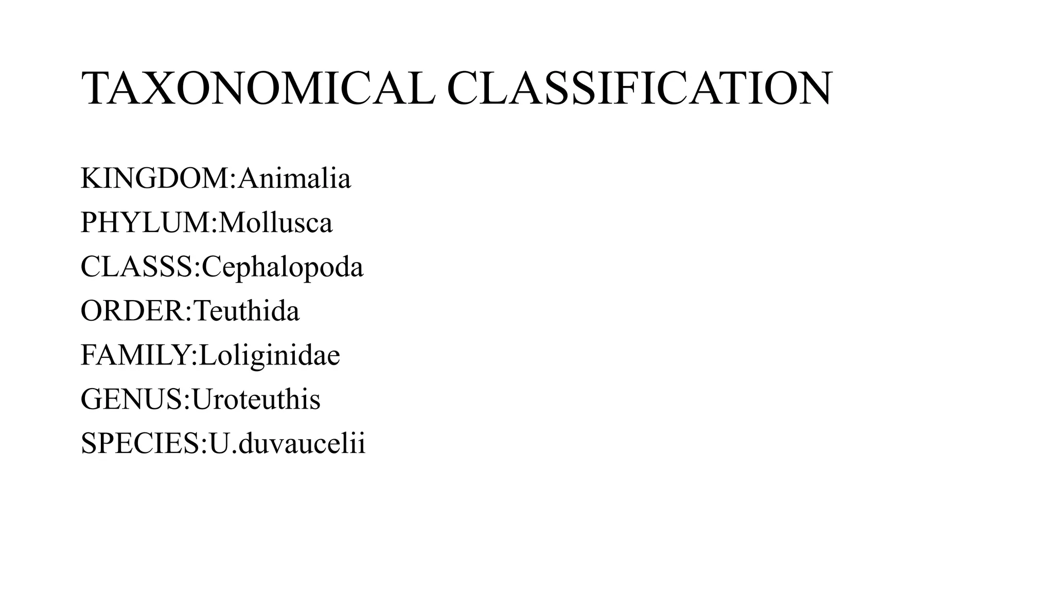 Life cycle of squid | PPT