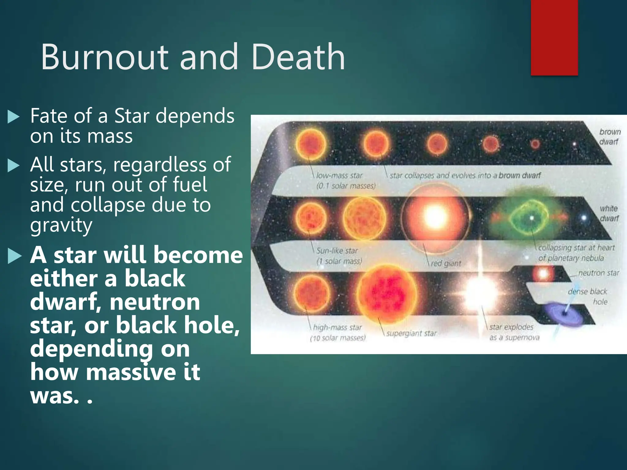 the Life Cycle of the Stars powerpoint presentation | PPT