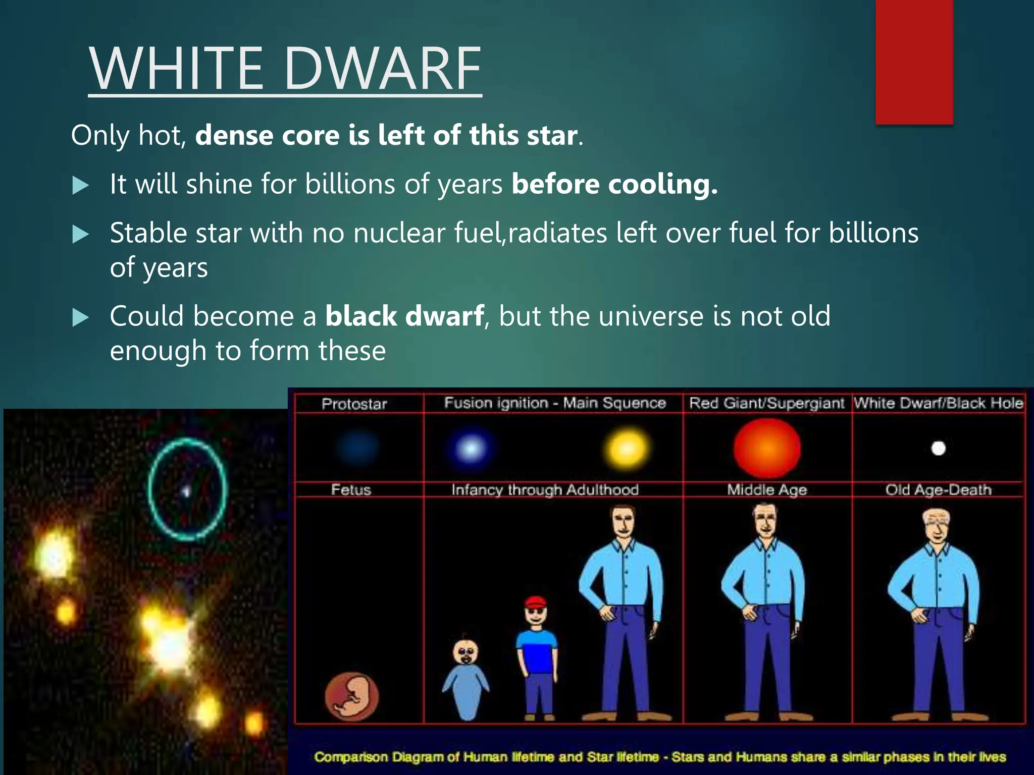 the Life Cycle of the Stars powerpoint presentation | PPT