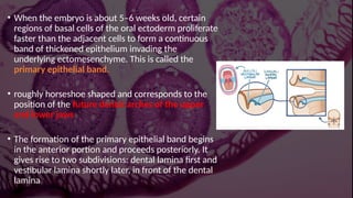 LIFE CYCLE OF TOOTH, ENAMEL AND DENTIN .pptx