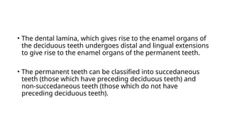 LIFE CYCLE OF TOOTH, ENAMEL AND DENTIN .pptx