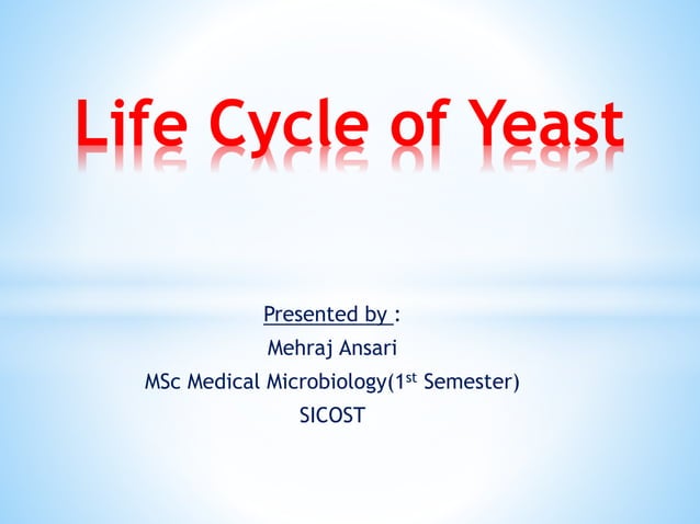 Life cycle of yeast | PPTX | Biological Sciences | Science