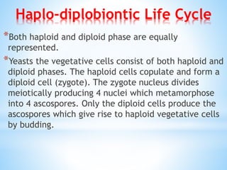 Life cycle of yeast | PPTX