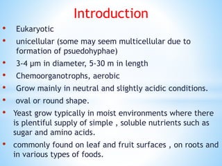 Life cycle of yeast | PPTX