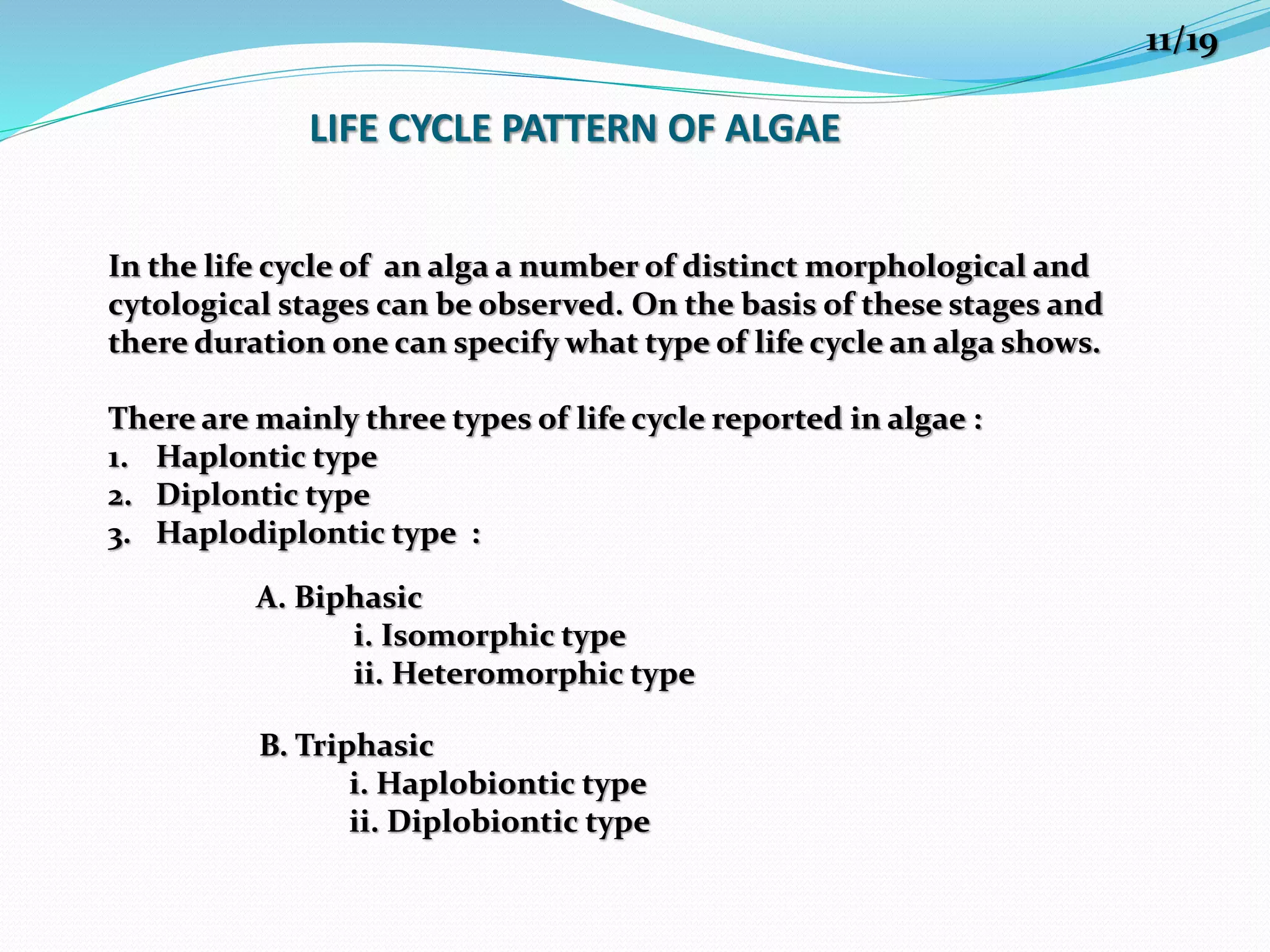 Life cycle pattern and perennation of algae | PPTX