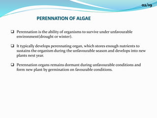 Life cycle pattern and perennation of algae | PPTX
