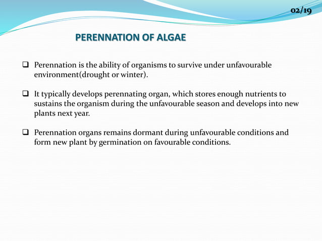 Life cycle pattern and perennation of algae | PPTX