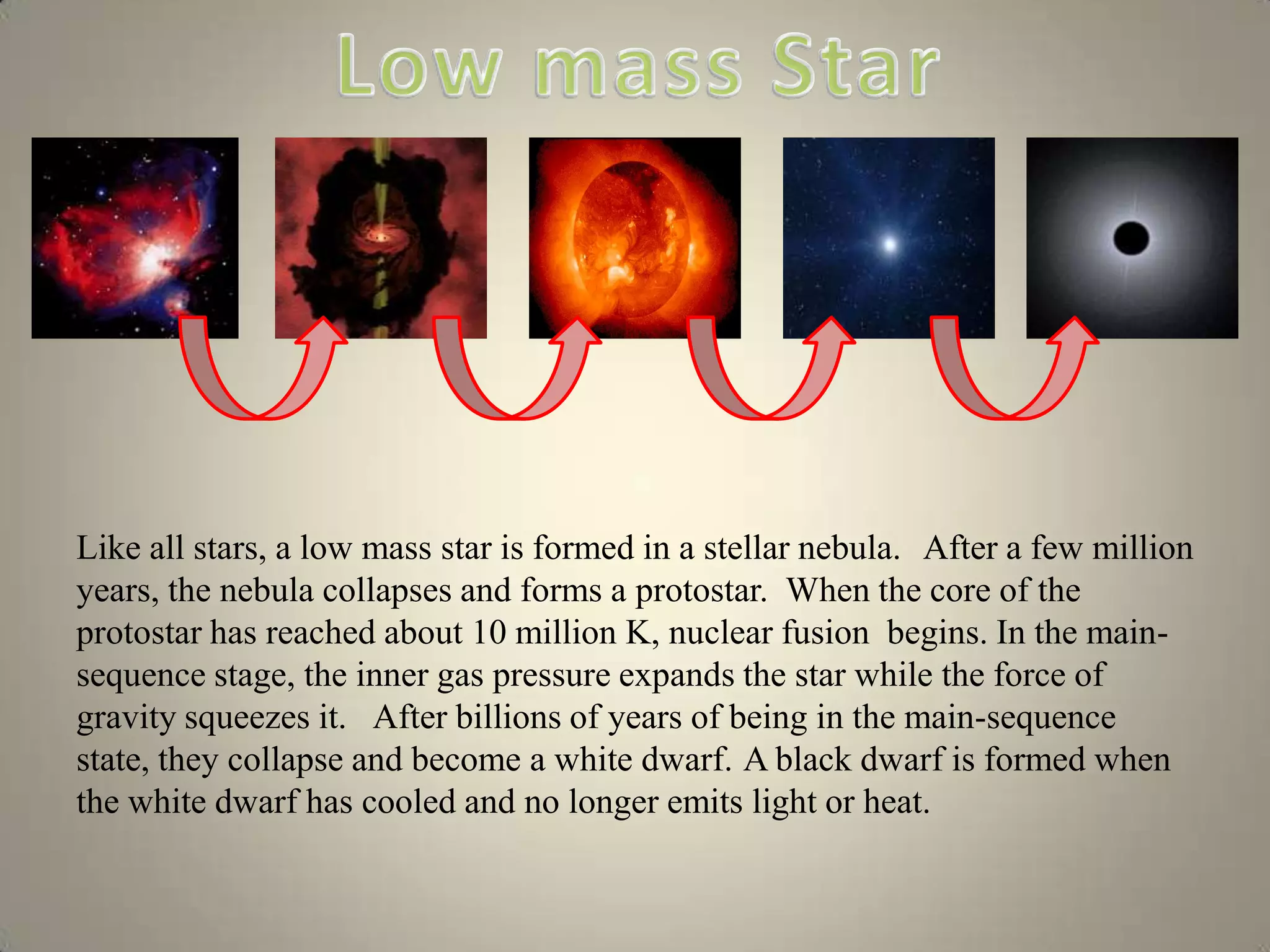 Life Cycle Ppt. | PPTX
