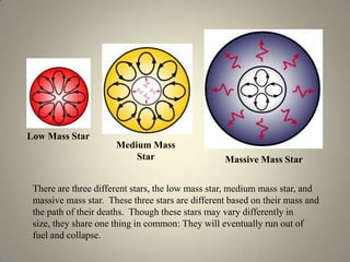 Life Cycle Ppt. | PPT