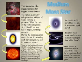 Life Cycle Ppt. | PPT