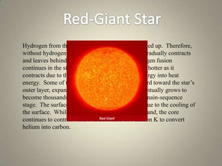 Life Cycle Ppt. | PPTX