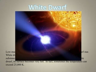 Life Cycle Ppt. | PPT