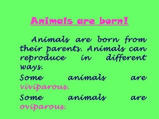 Lifecycles | PPT