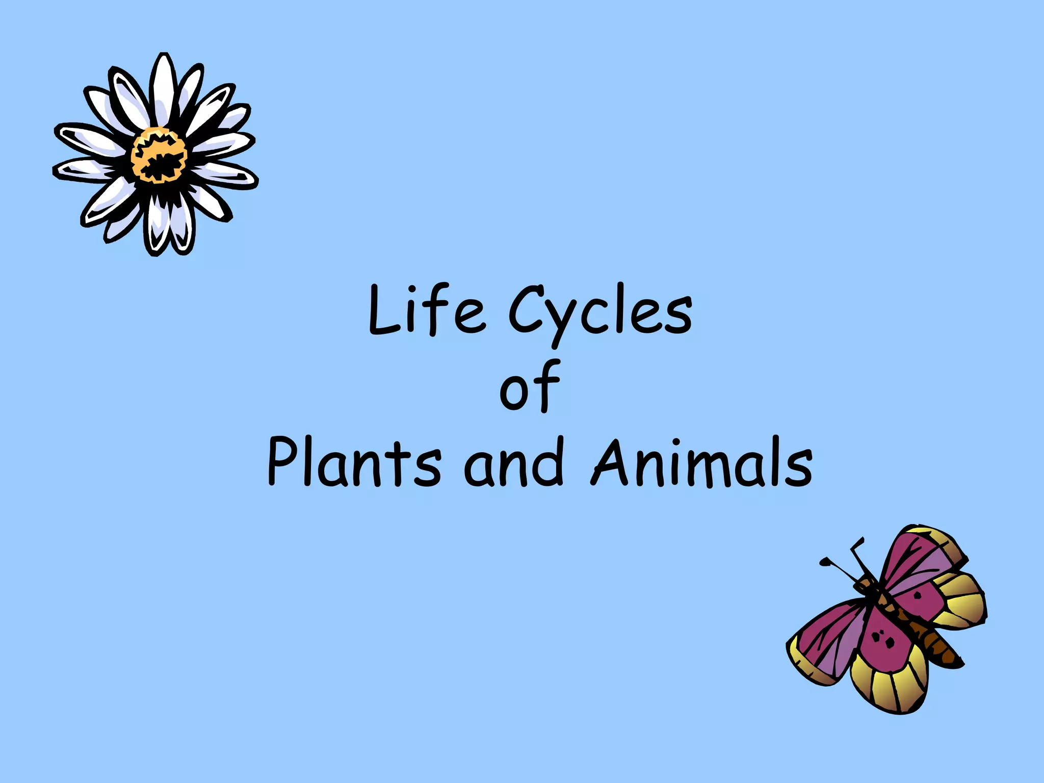 Lifecycles | PPT