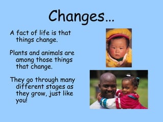 Lifecycles | PPT