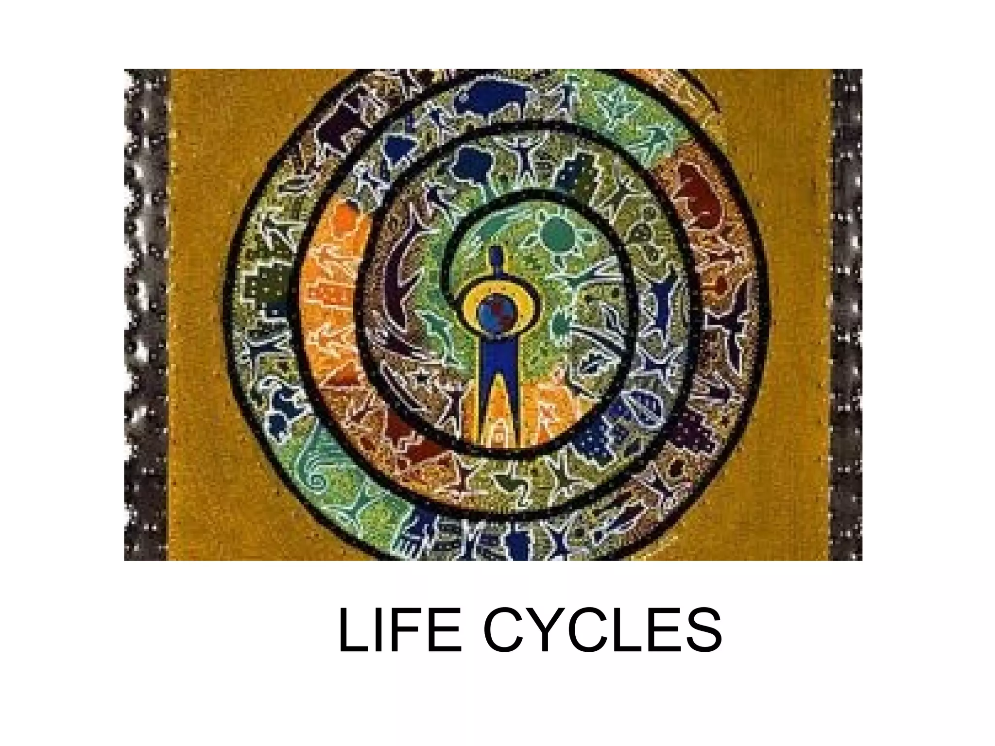 Life cycles | PPT
