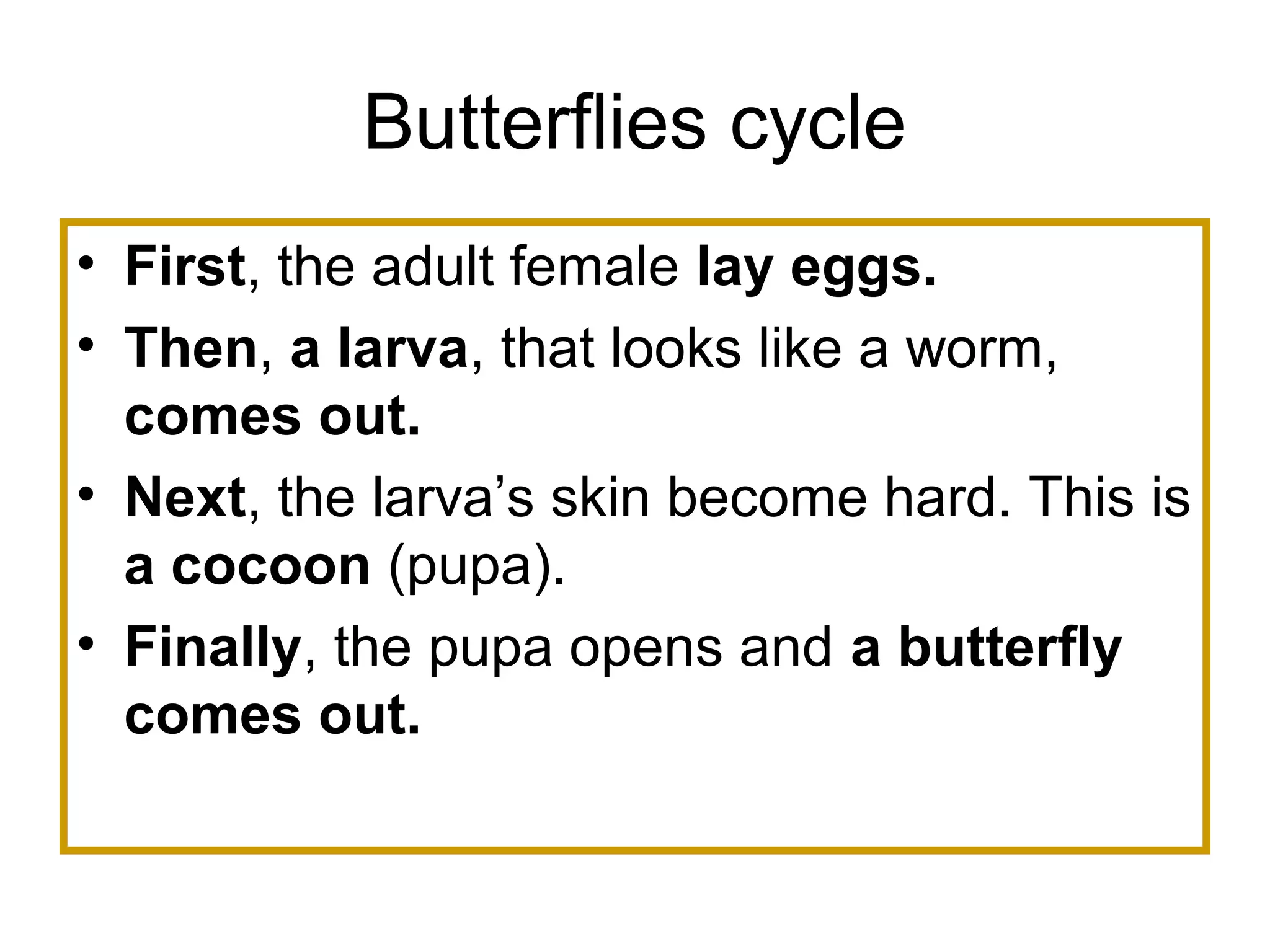 Life cycles | PPT