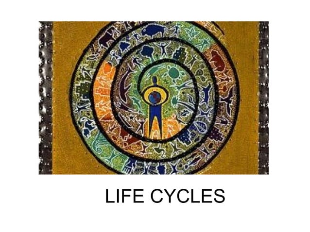 Life cycles | PPT