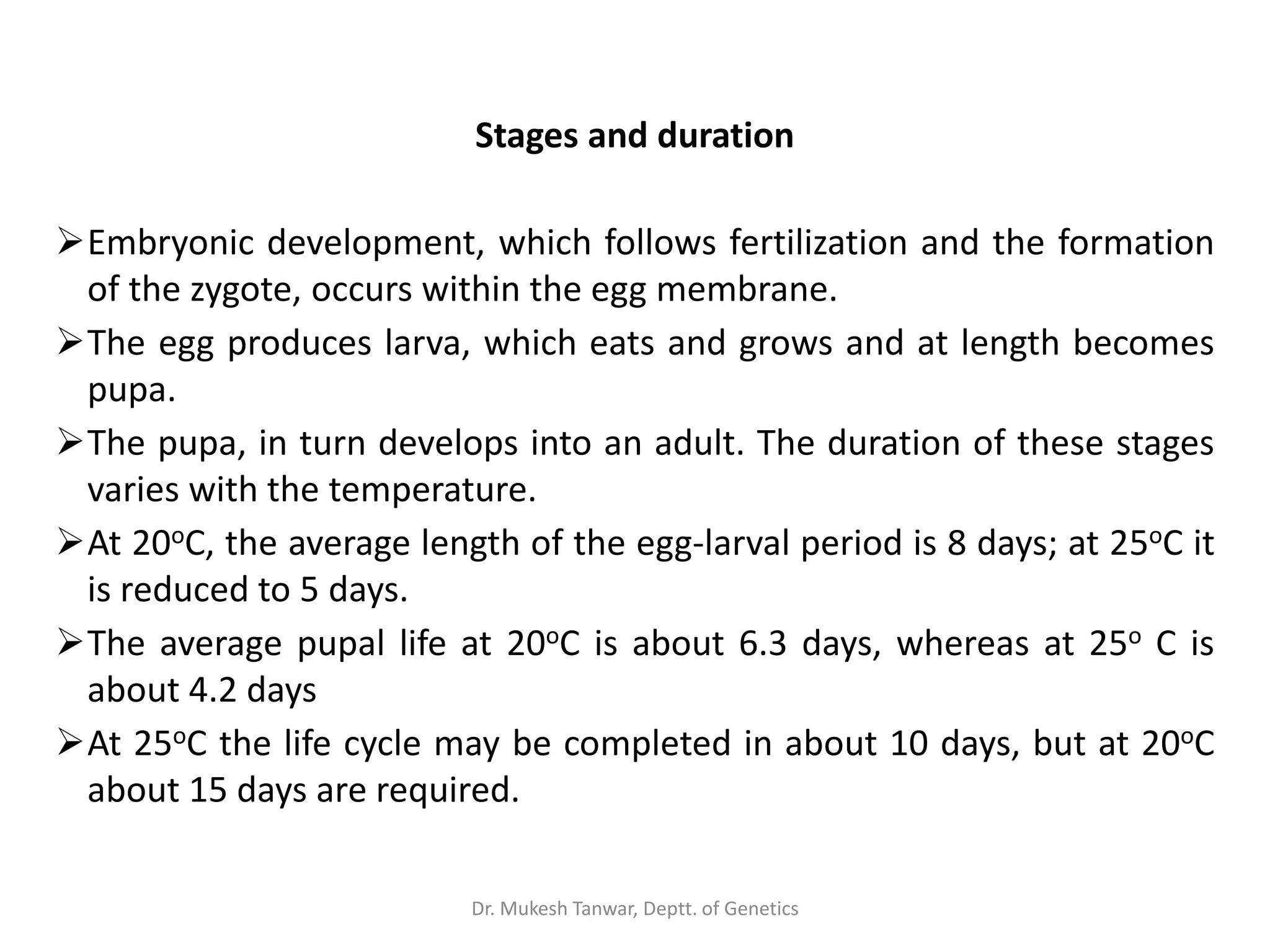 Life Cycles-Model Genetic Organisms Feb 2021.pptx