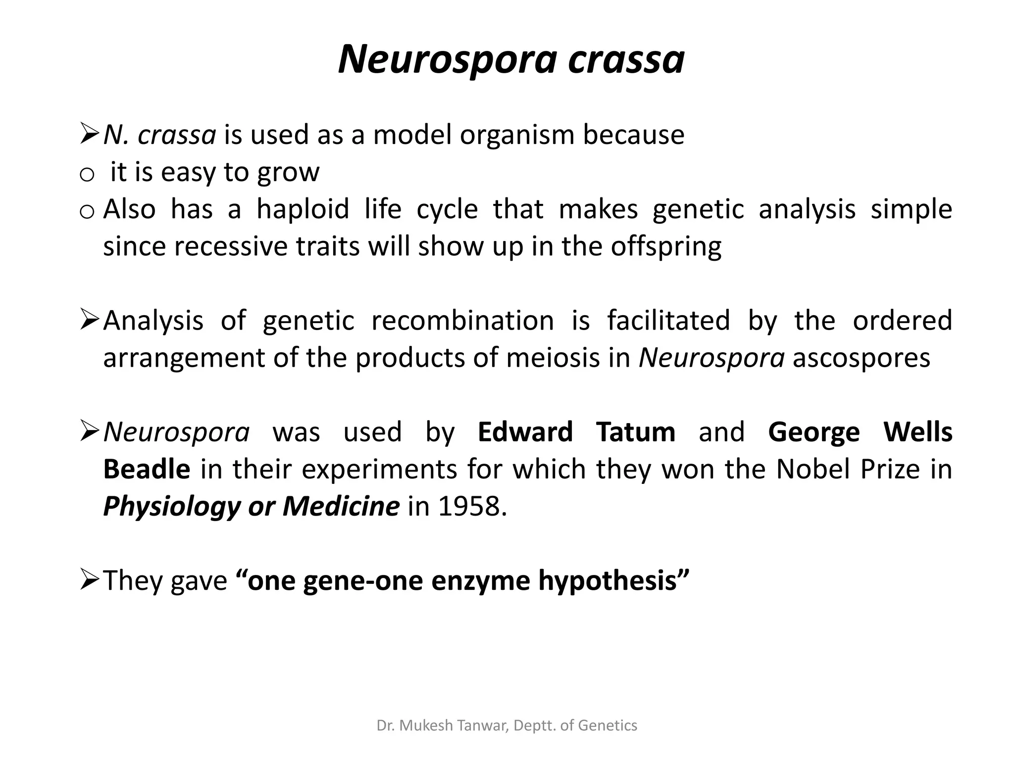 Life Cycles-Model Genetic Organisms Feb 2021.pptx