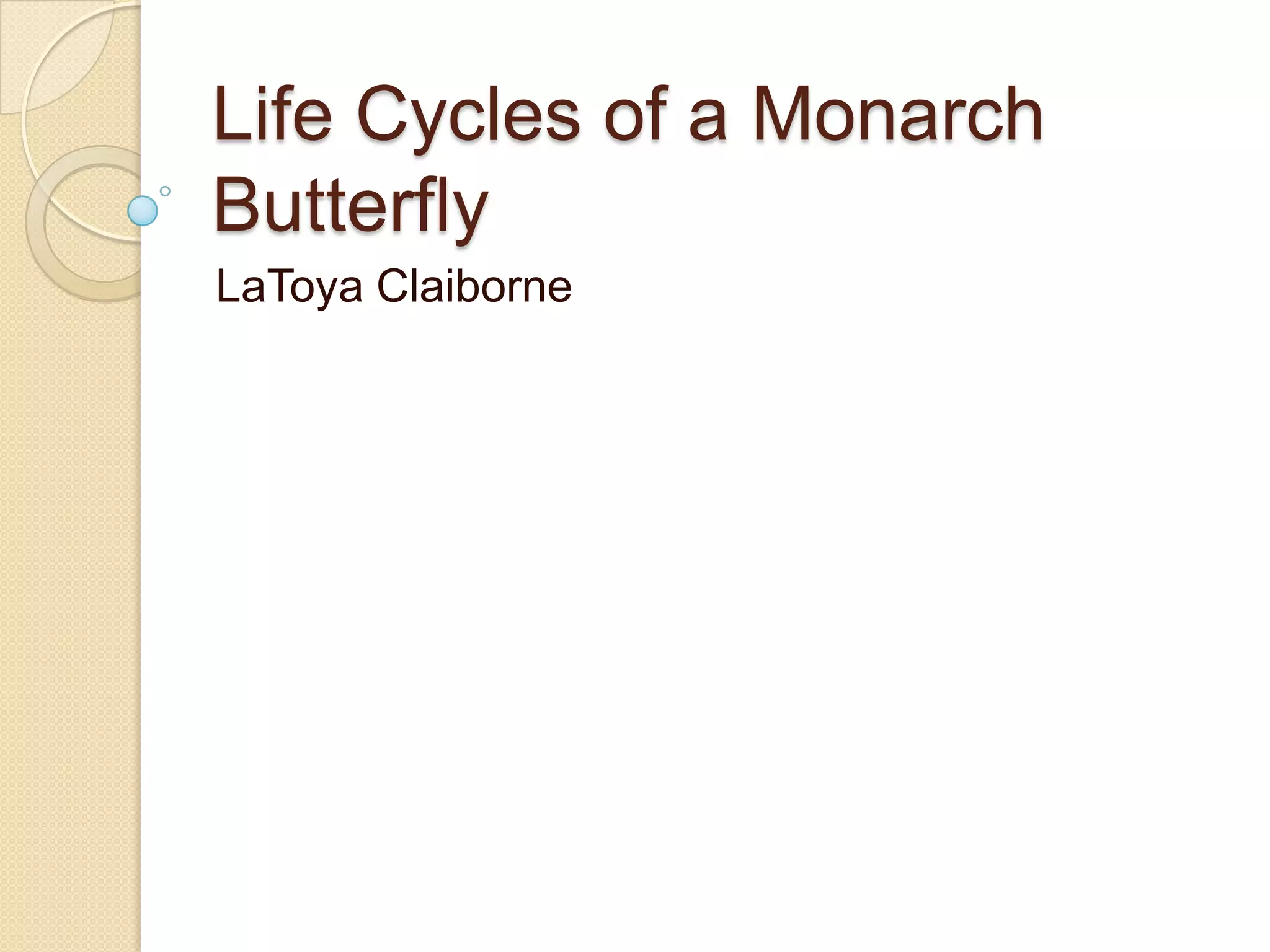 Life cycles of a monarch butterfly | PPT