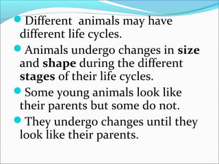Life cycles of animals | PPT