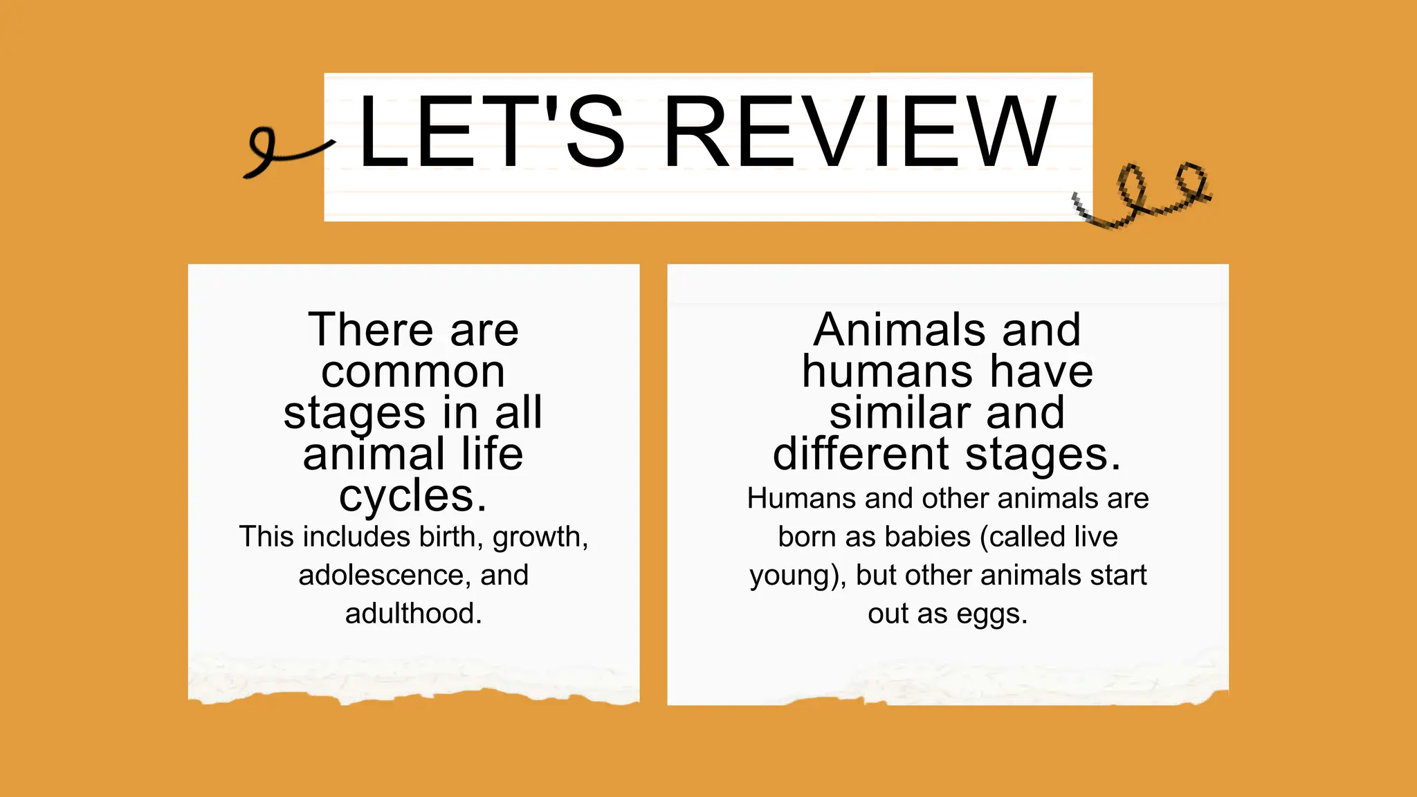 Life Cycles of Humans and Animals Presentation.pptx