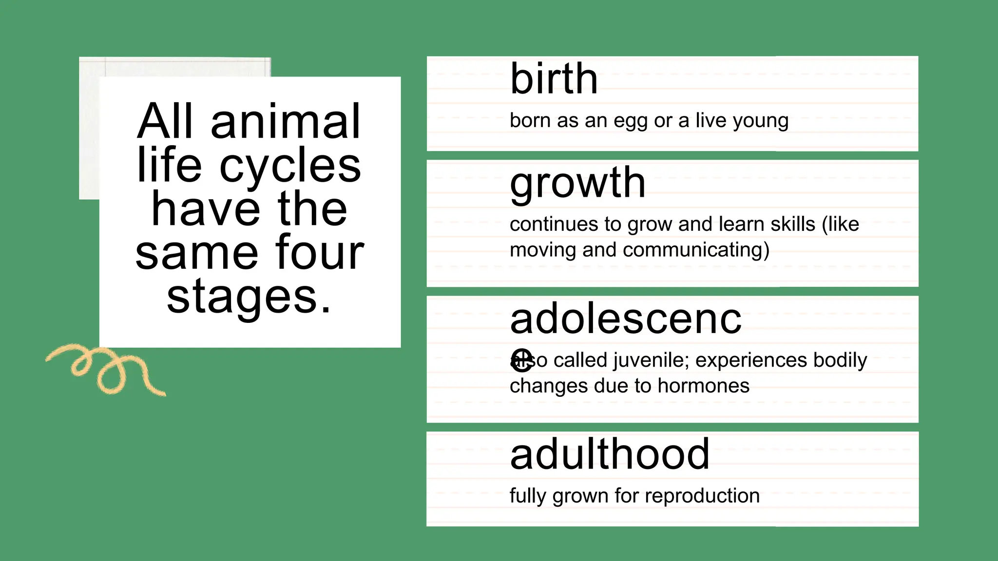 Life Cycles of Humans and Animals Presentation.pptx