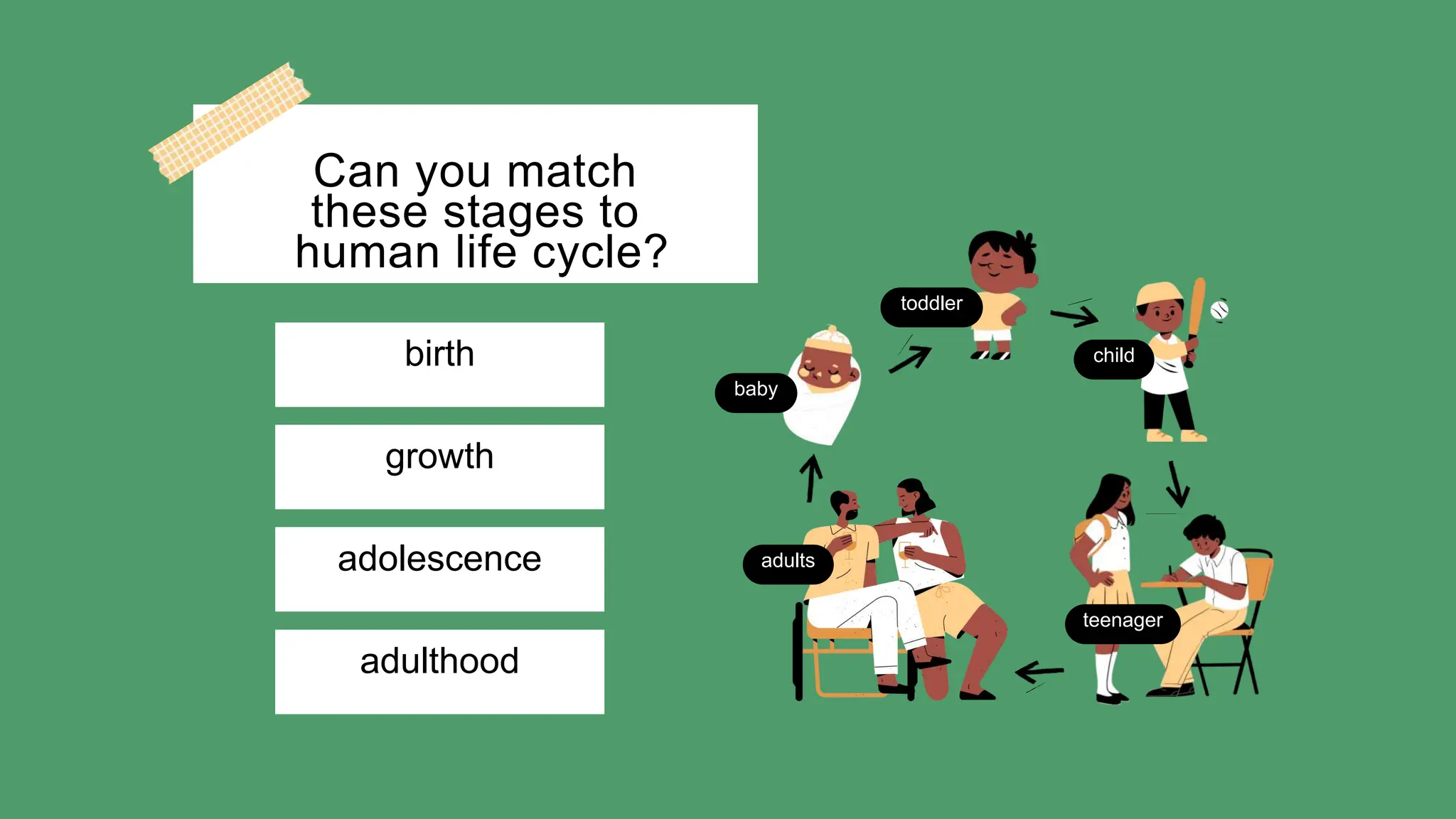 Life Cycles of Humans and Animals Presentation.pptx