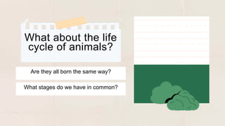 Life Cycles of Humans and Animals Presentation.pptx