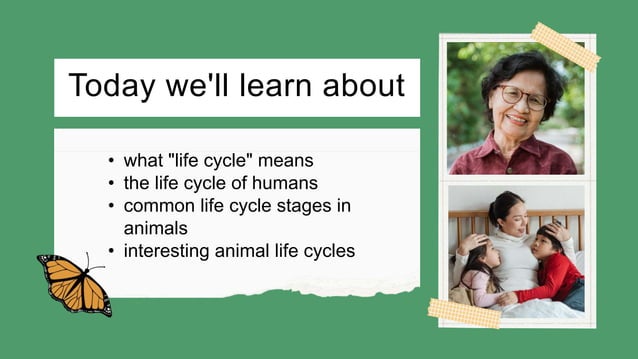 Life Cycles of Humans and Animals Presentation.pptx