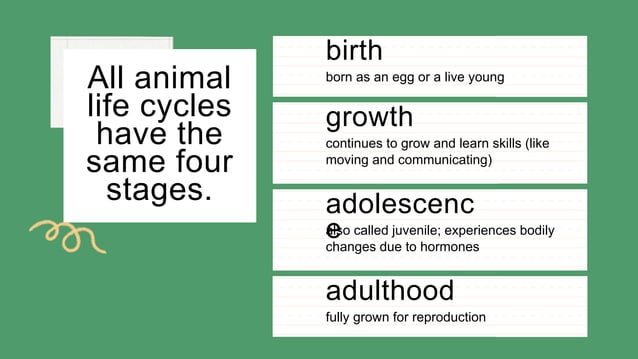 Life Cycles of Humans and Animals Presentation.pptx