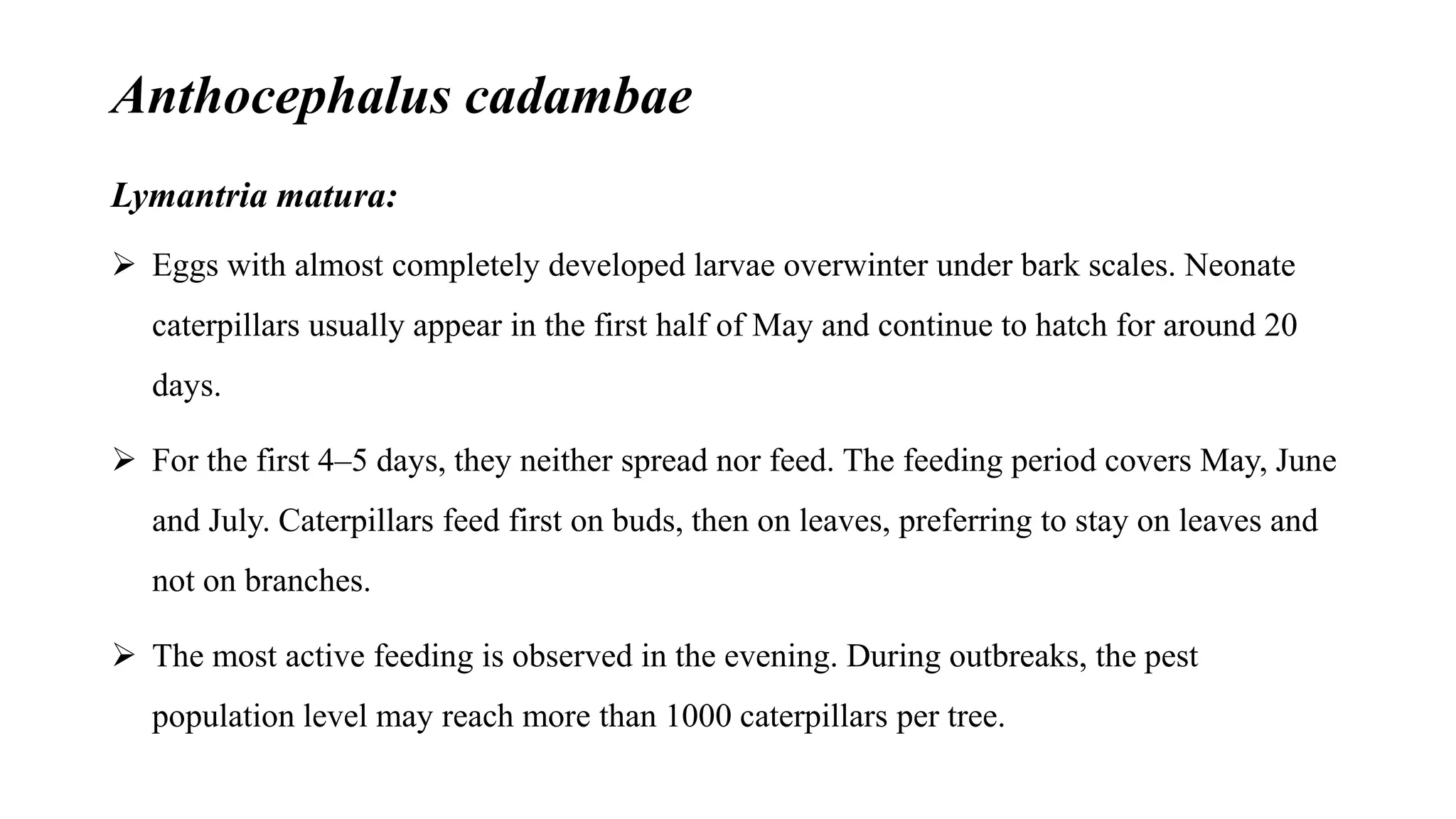 Life cycles of insect pests of important forest.pptx