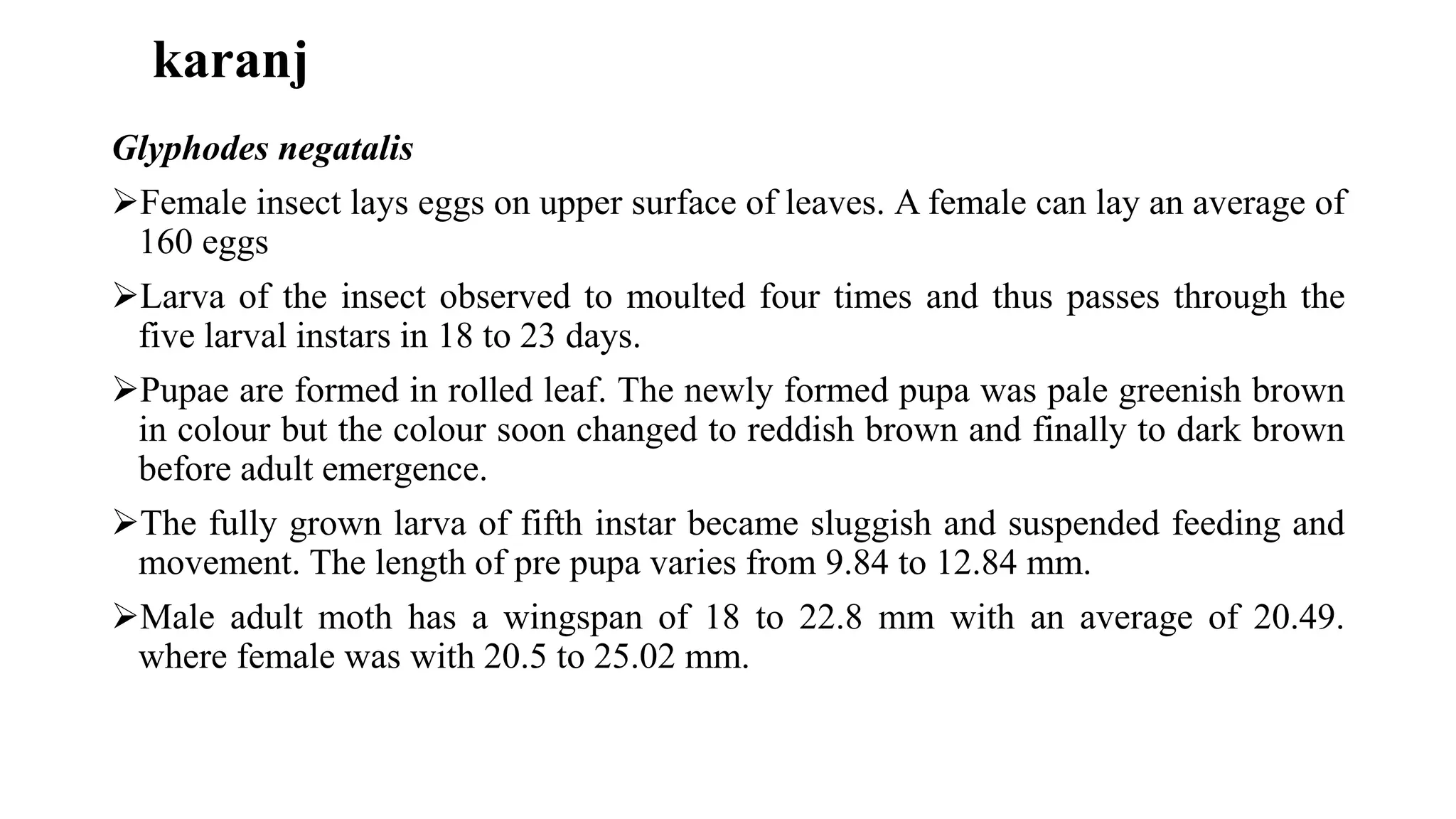 Life cycles of insect pests of important forest.pptx