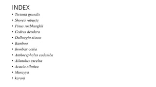 Life cycles of insect pests of important forest.pptx