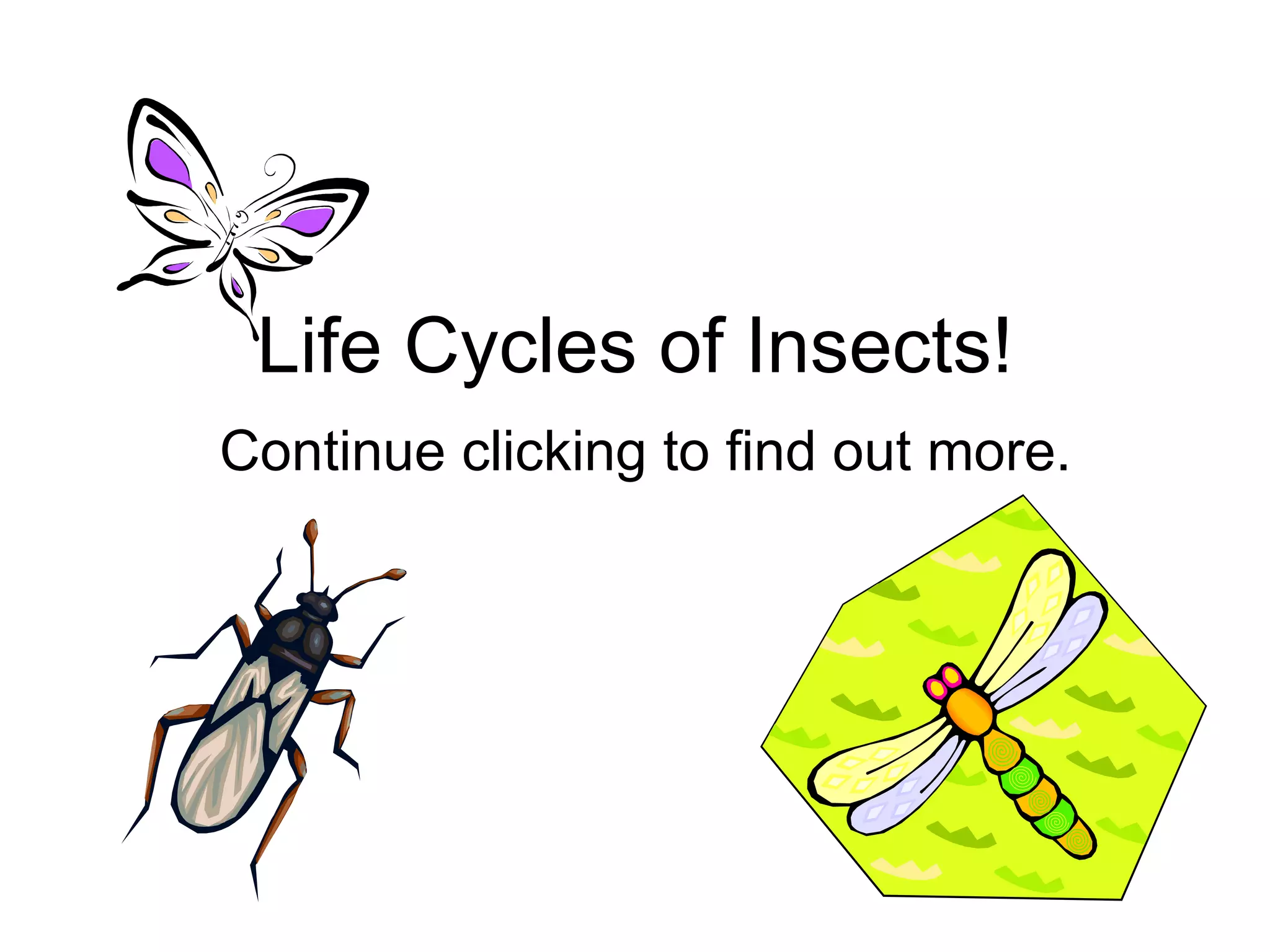 Life cycles of insects | PPT
