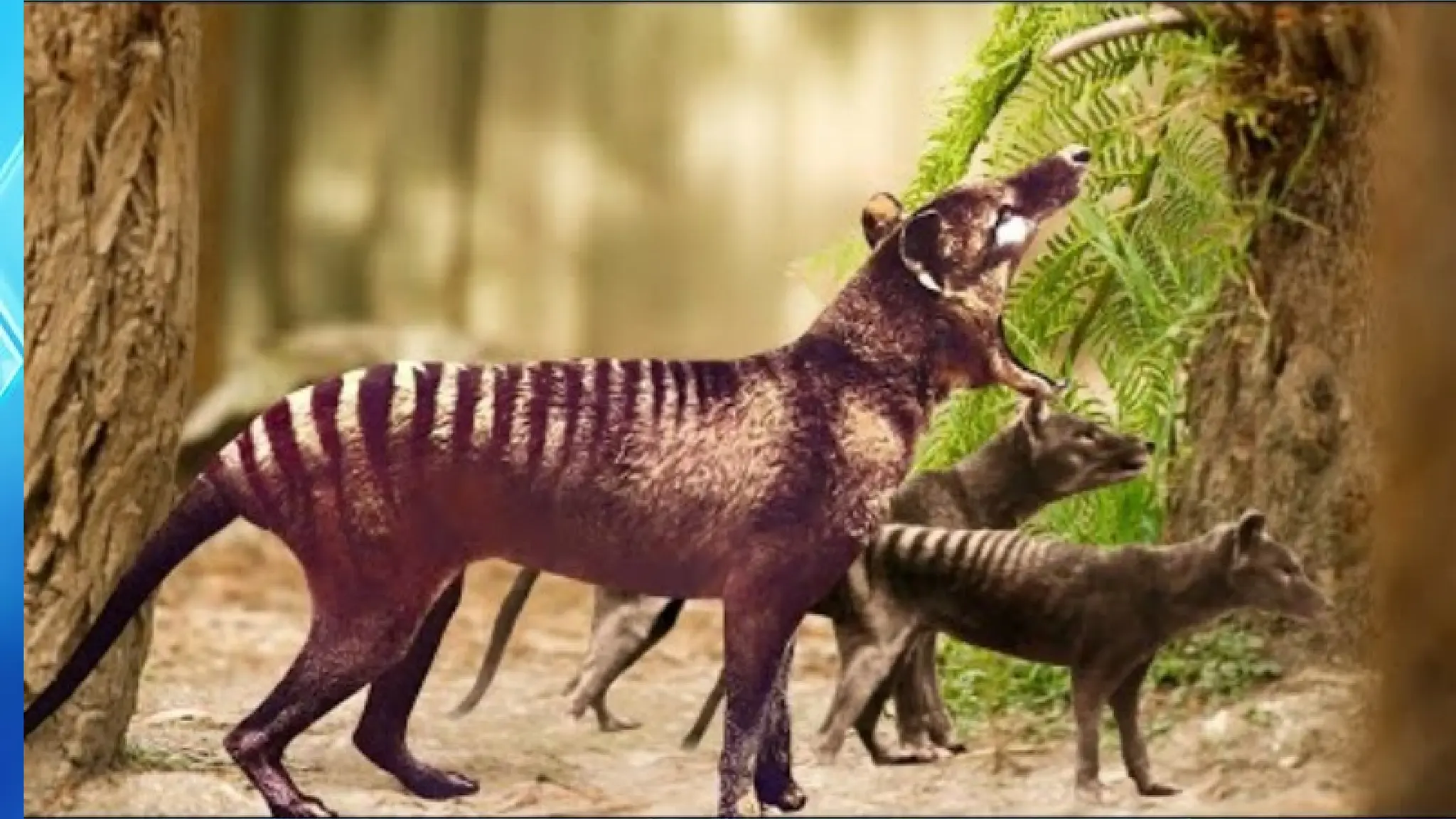 Life Cycles of Living Things.pptxP3 MULTIPLICATION By 6, 7 , 8 , 9.pptx