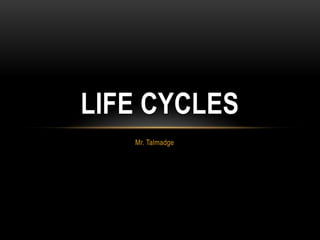 Life cycles ppt | PPTX