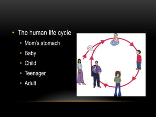 Life cycles ppt | PPTX