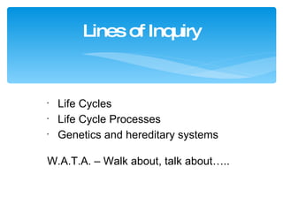 Life Cycles Presentation | PPT