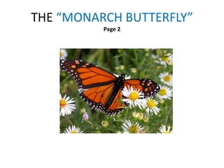 Life Cycle Stages Of | PPT