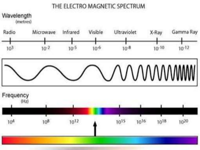 Life detection system | PPTX
