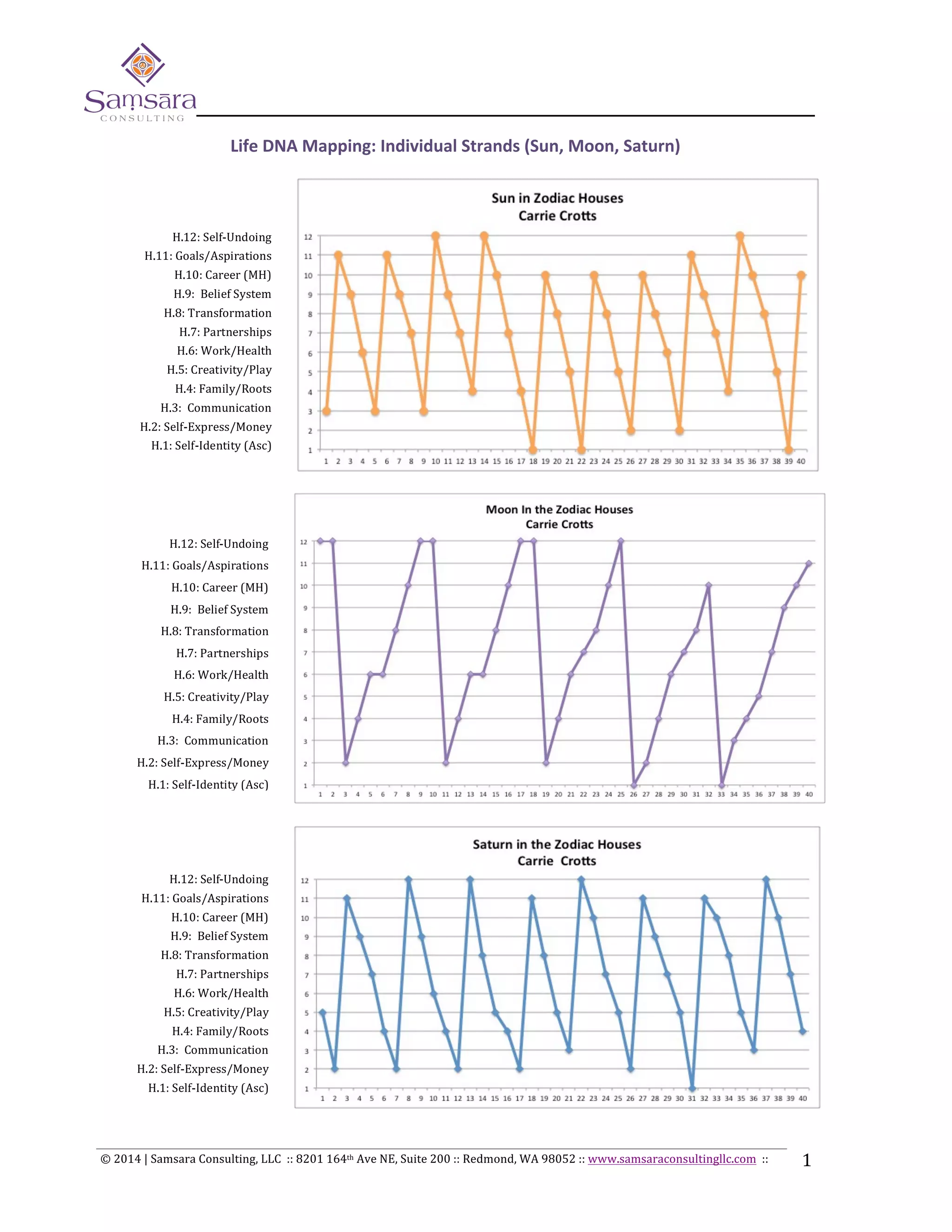 Learning Astrology: Life DNA: Individual Strands (Sun, Moon, Saturn) | DOTX