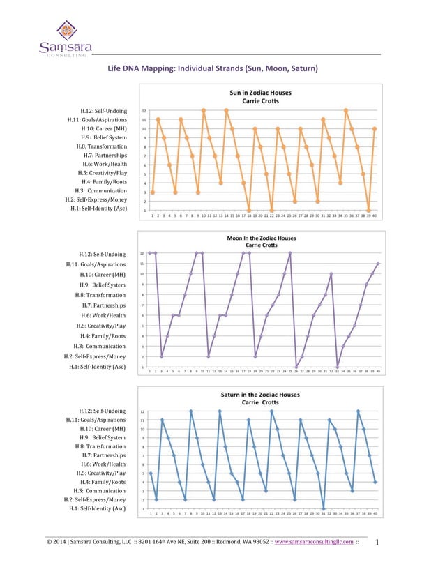 Learning Astrology: Life DNA: Individual Strands (Sun, Moon, Saturn) | DOTX