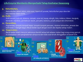 Life Enzyme | PDF