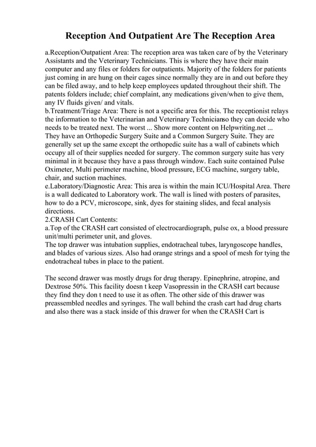 Life Experience Essay Examples | PDF